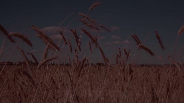 Хлеб неба исполнитель Елена Жвакина