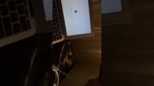 MacBook Air A1370 11.6"