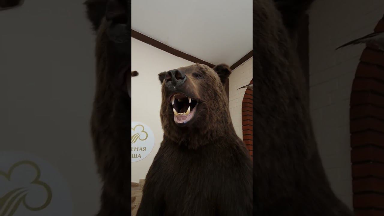 Санаторий Зеленая роща #shorts