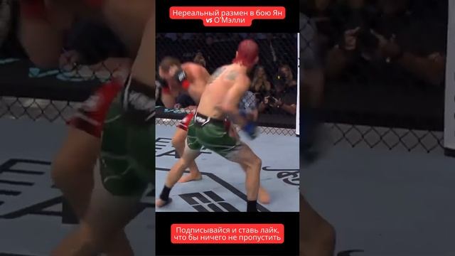 Нереальный размен в бою Ян vs О’Мэлли #fight #mma #popmma #reels #ufc #ufc4