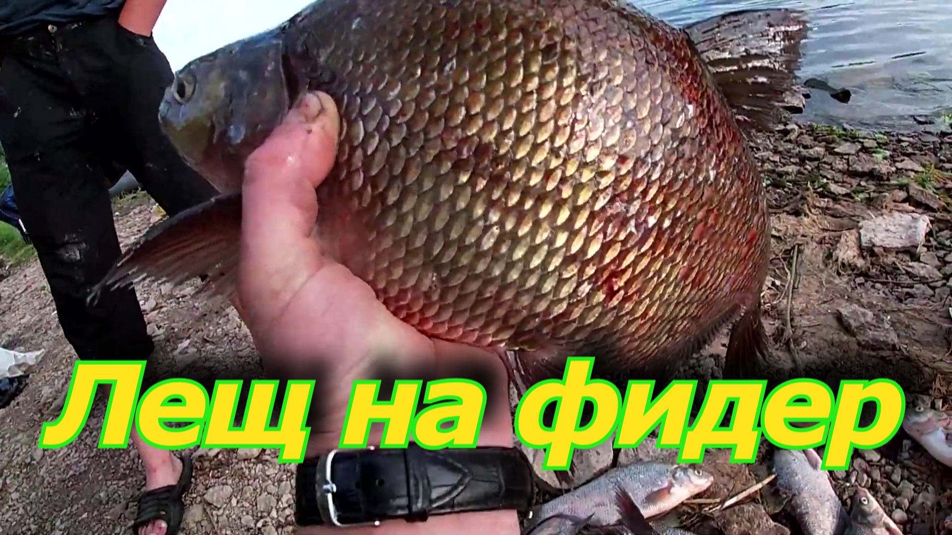-Жор леща!!! Ловля леща в июле на фидер.