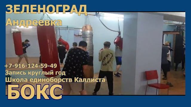 Зеленоград. Андреевка. Школа бокса. Тренировки. Соревнования. Спортивный лагерь. Запись круглый год.