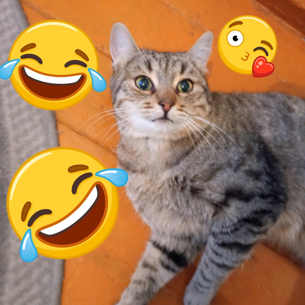 Кот и лиса