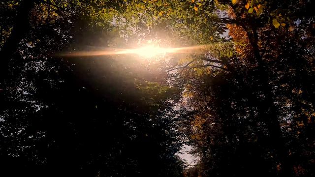4К видео UHD  Горят костры..