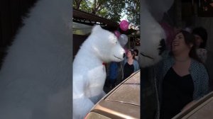 Создаем прекрасный праздник для вашей семьи, друзей??Г. Краснодар 89385331346❤️?