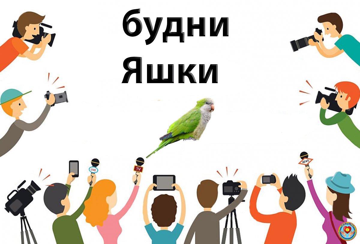 Будни попугая Яши. (монах квакер