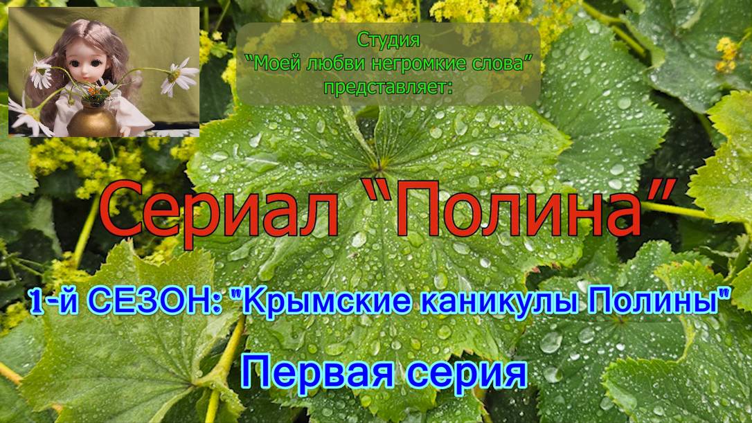 1-я серия - Лили приезжает в гости