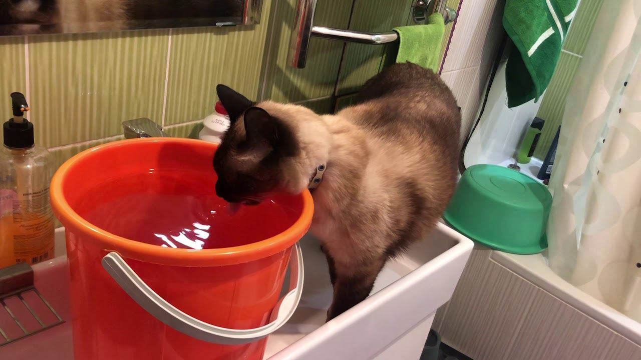 22 ноября 2020 г.