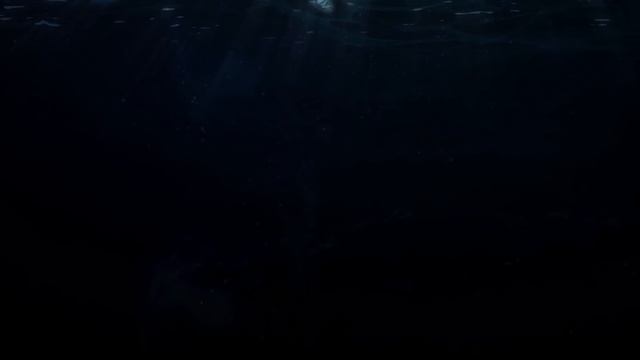 OCEANS - Into The Void (OFFICIAL VIDEO)