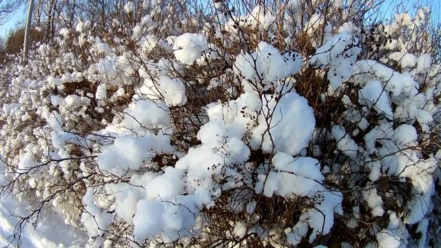 Зима в городе.mpg