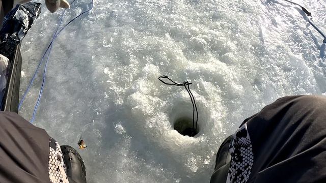 Рыбалка на окуня!!!!!