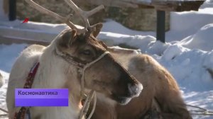 Космические трассы «Восточного»