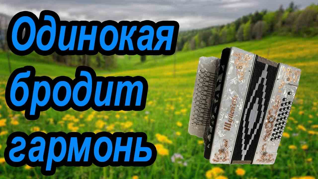 Одинокая бродит гармонь