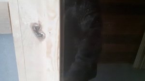 Гостевой дом на пасеке. Мой вариант)