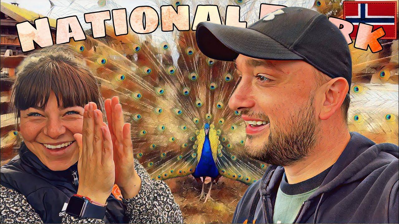 НАЦИОНАЛЬНЫЙ ПАРК НОРВЕГИИ | ЗООПАРК | ЛАНГЕДРАГ