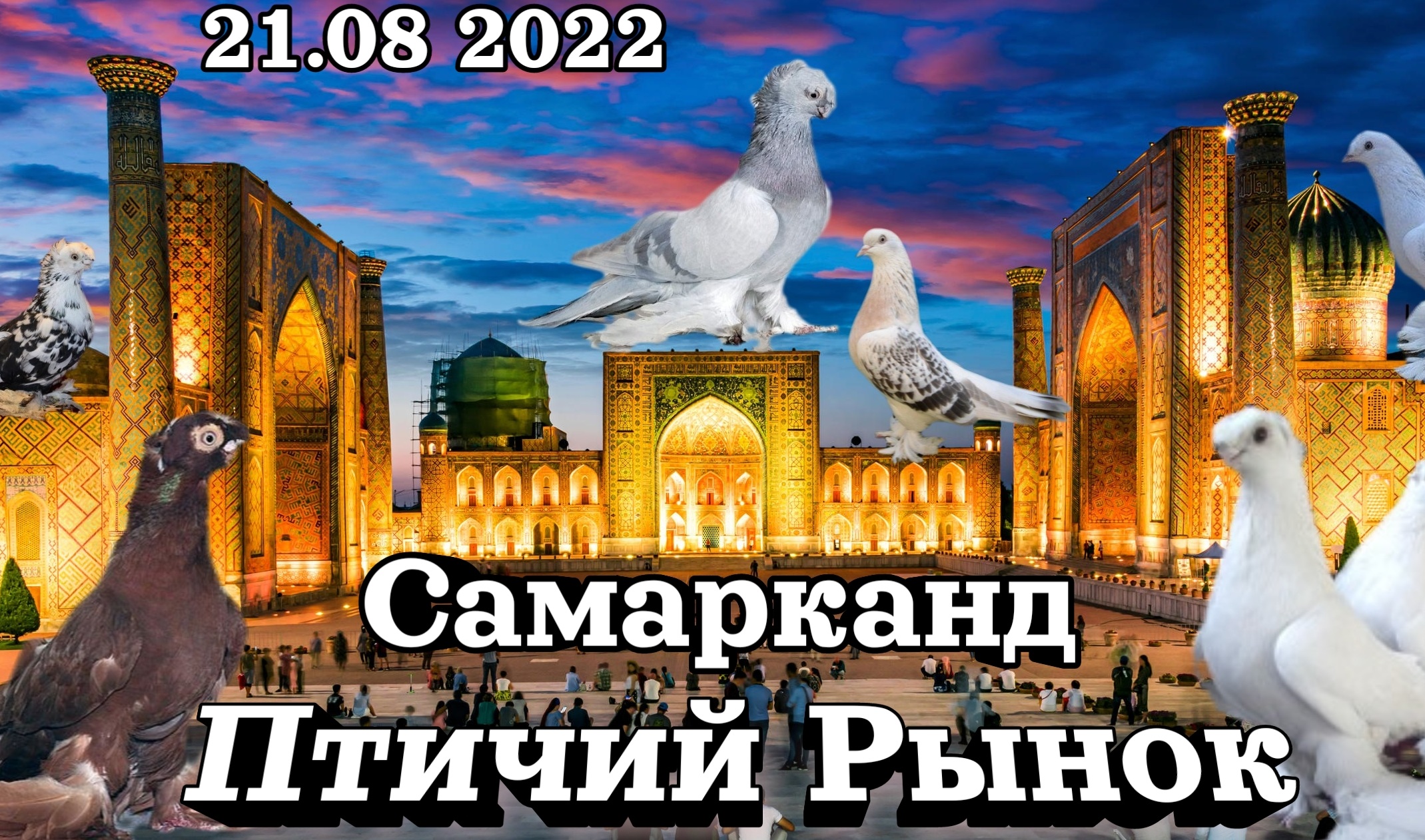 Птичий рынок. Узбекистан Самарканд. Игровые голуби. Птицы-канарейки, щеглы, перепелки, кеклики.