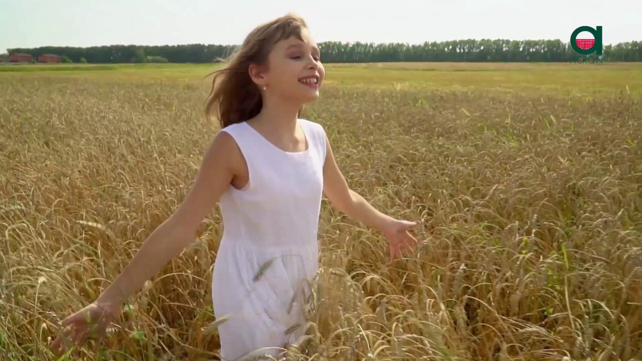 Environmental activities of the Acron group