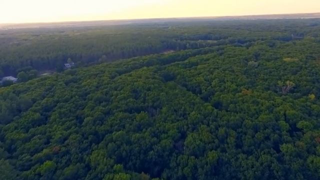 ЭКО-ДЬЯЧЕВСКИЙ ПАТРУЛЬ