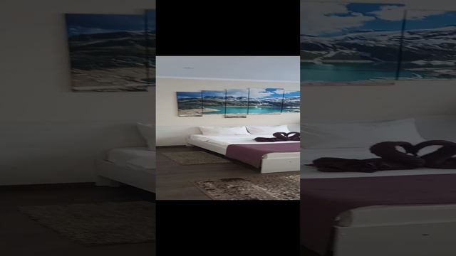 1026.mp4