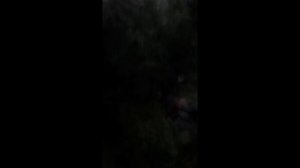 Баджадж боксер.И Я приехал на рыбалку.