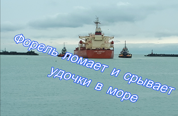 Туапсе 04.02.2022 набережная: форель ломает и срывает удочки в море.
