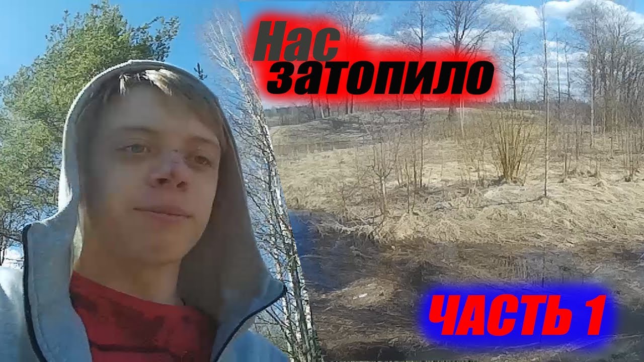 НАС ЗАТОПИЛО. ИЩЕМ ЛЯГУШЕК!