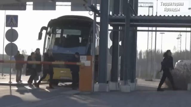 Неожиданный поворот Бравые парни в шлепках топят за Россию