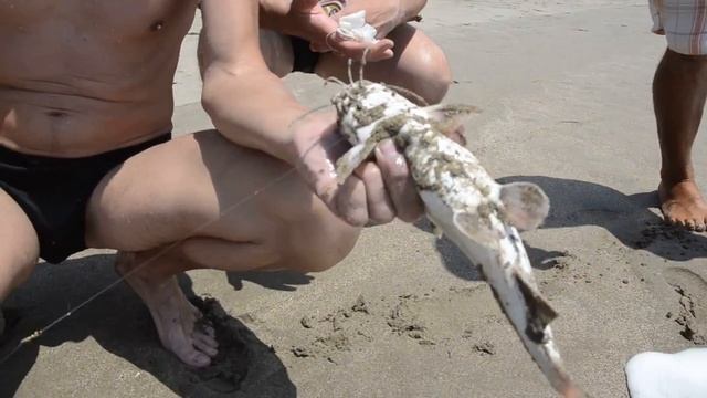 Рыбалка Отдых ECUADOR SAN CLEMENTE ЭКВАДОР САН КЛЕМЕНТЕ 4 ноября 2018 г..mp4