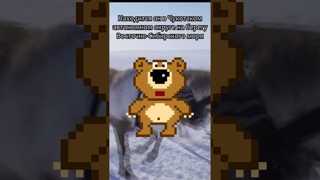 Мишка и Певек