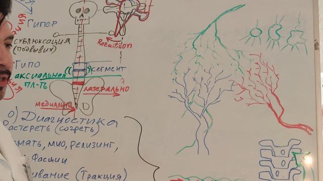 ВАЖНО ЗНАТЬ - в чем смысл нашей ЛИМФАТИЧЕСКОЙ СИСТЕМЫ! Обучение массажу у Олега Гудвина.