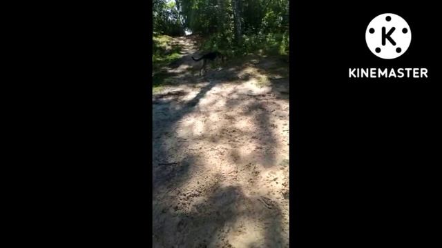 Альфа борится с жарой, ?♂️уговорила? Сашу пойти купаться ?