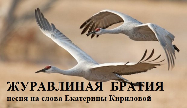 "Журавлиная братия", (исп./муз.А.Прутяная, слова Е.Кирилова)