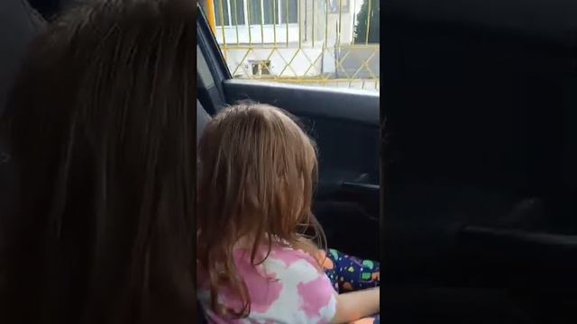 19.07.23 Что-то не едет))) Сидит с папой в машине, пока мама ушла на приём.