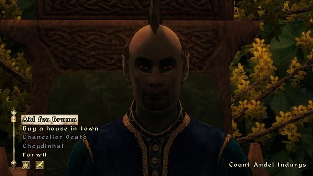 The Elder Scrolls IV: Oblivion - Part 57