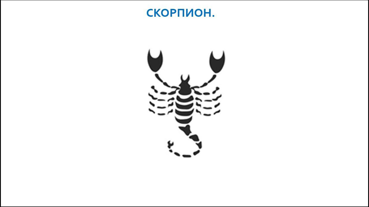 Знаки Зодиака. Скорпион.