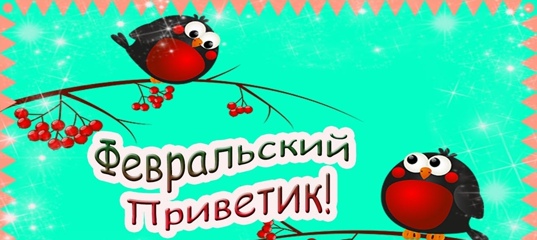 Февральский приветик #поздравление#shortvideo#shorts#short