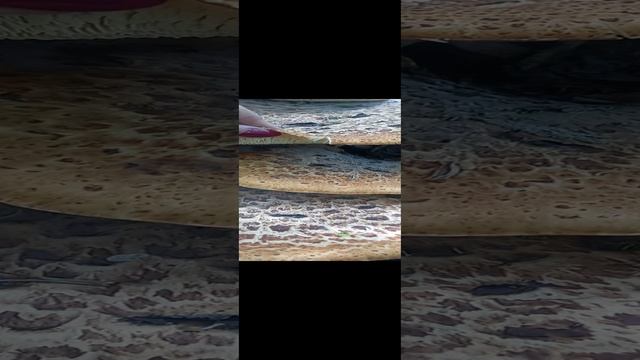 ❗ПЕСТРЕЦ -ТРУТОВИК ЧЕШУЙЧАТЫЙ❗Уже несъедобные грибы❗