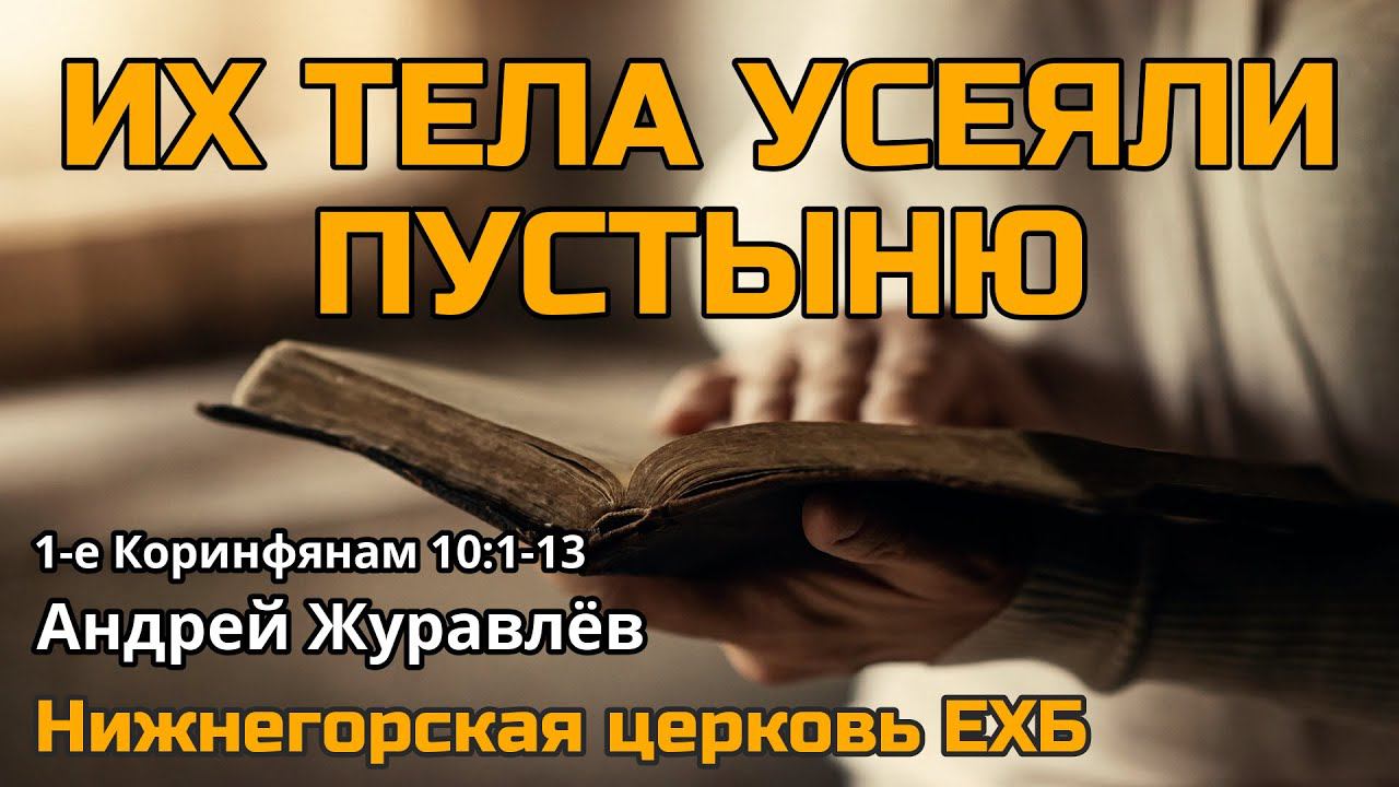 Их тела усеяли пустыню (Андрей Журавлёв)