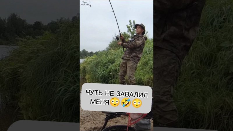 ЛОВИЛИ ТАКИХ? ХОРОШИЙ ЭКЗЕМПЛЯР #рек #fishing #рекомендации #шортс #карп #рыба #carp