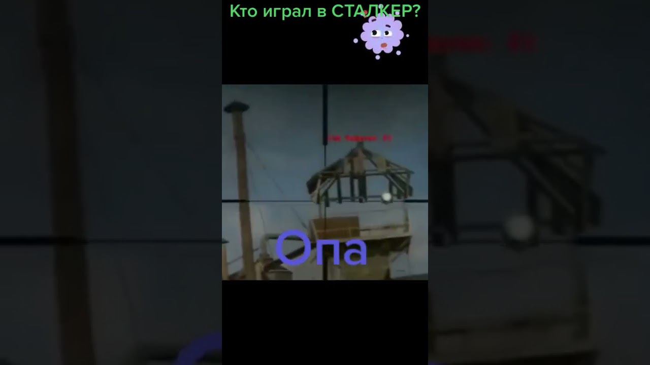 Кто играл в сталкер?