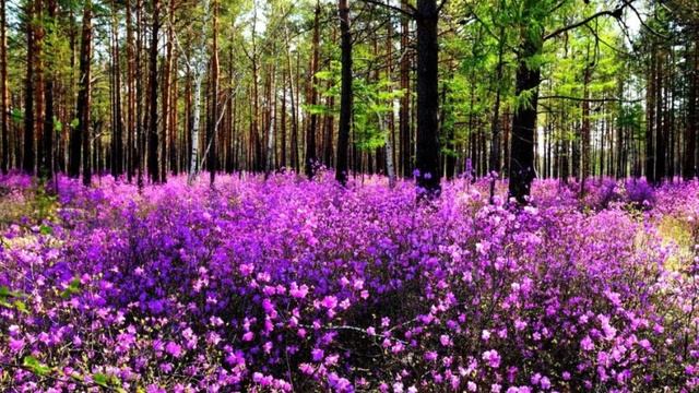 Влияние общественного мнения на коллективное сознание.