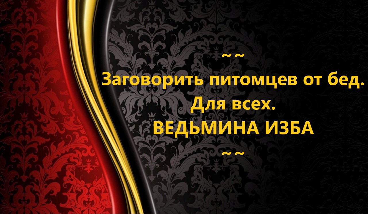 ЗАГОВОРИТЬ ПИТОМЦЕВ ОТ БЕД...ДЛЯ ВСЕХ..АВТОР: ИНГА ХОСРОЕВА