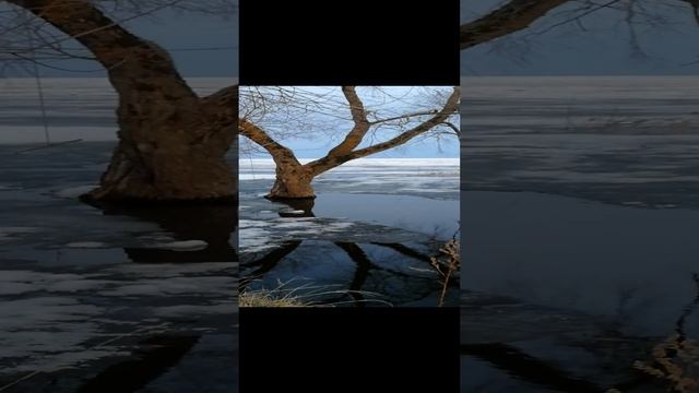 Озеро Ильмень в середине апреля