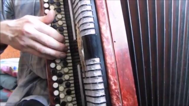 Запели песни, заиграли - баян/вокал - Наташа П.mp4