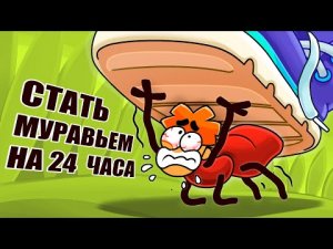 Что Если Ты Стал Муравьем На 24 Часа_