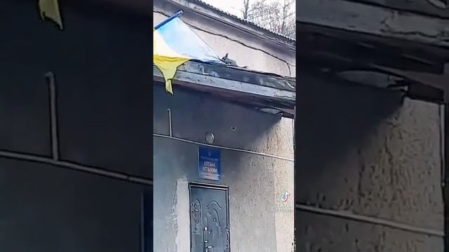 Белка-денацификатор рвёт флаг Украины