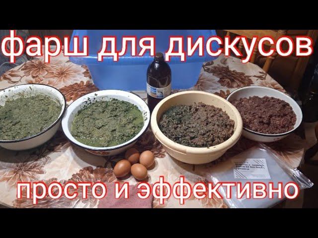 Как приготовить фарш для Дискусов
