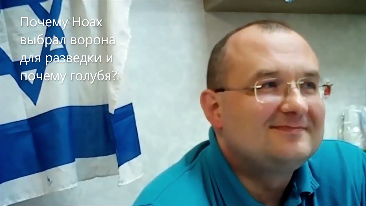 Почему Ноах выбрал ворона для разведки? Недельная глава Ноах