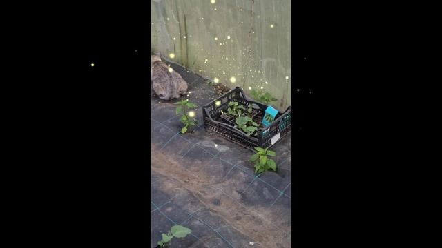 Поели - можно и поспать.