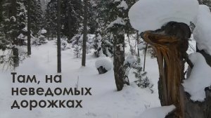 Там, на неведомых дорожках